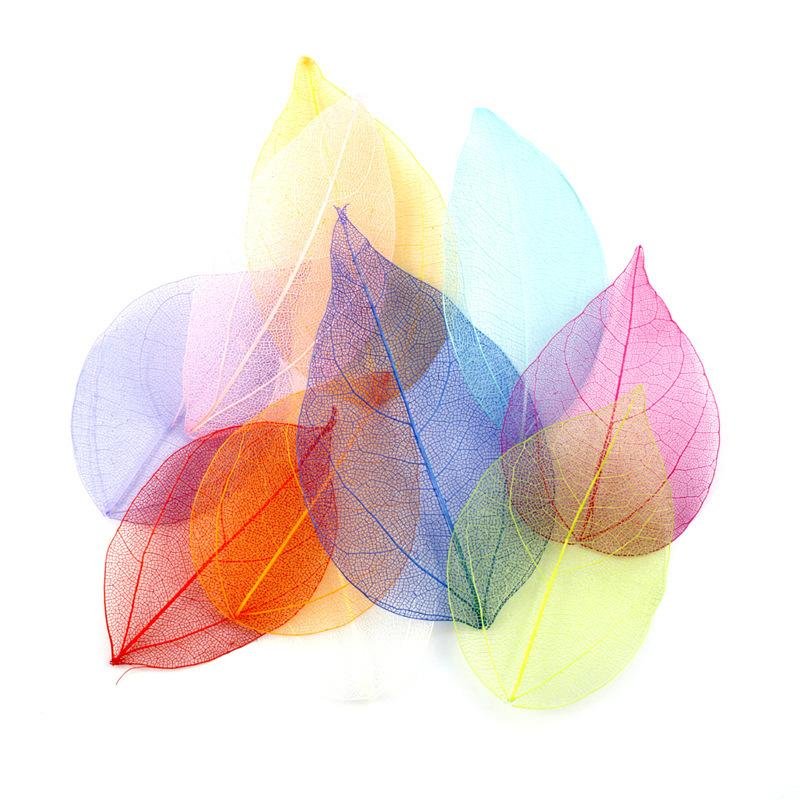 Skeleton Leaves – Meraki Artencial Store