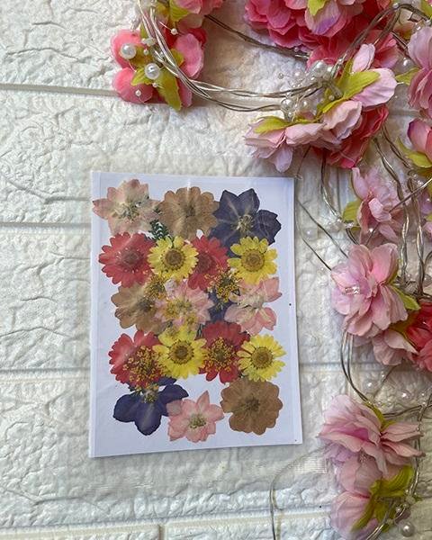 RAINBOW MIXED - Meraki Artencial Store